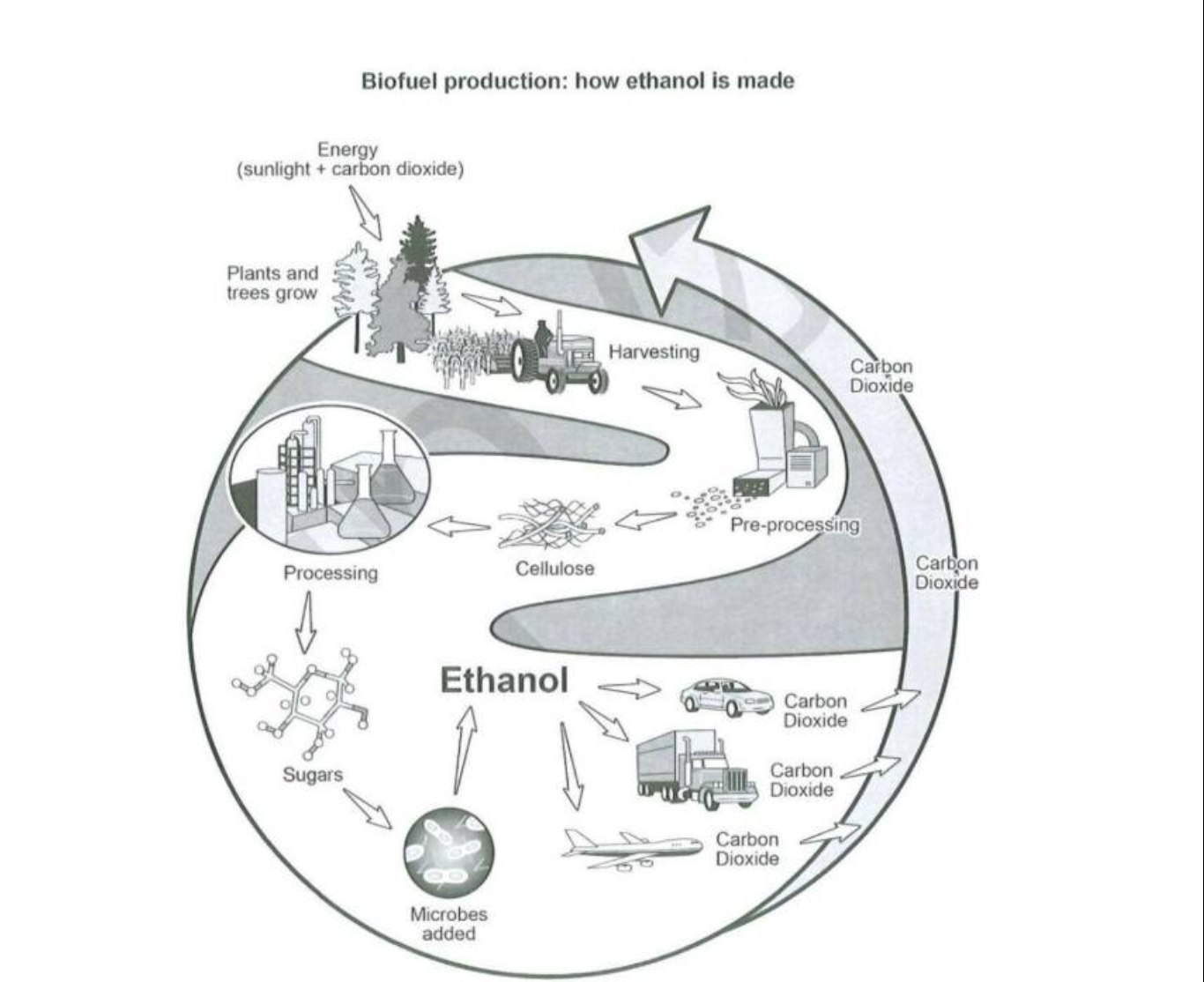 Real IELTS Writing Task 1 - Diagram - Topic biofuel & sample band 8.5