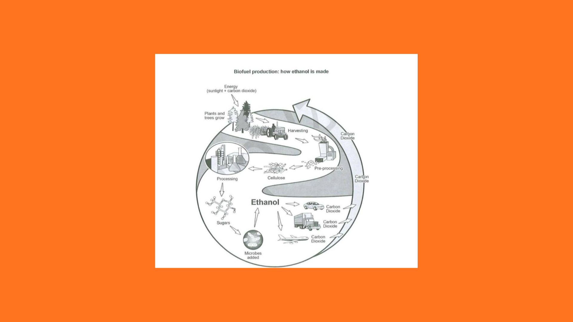 Real IELTS Writing Task 1 - Diagram - Topic biofuel & sample band 8.5