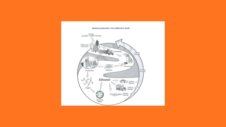 Real IELTS Writing Task 1 - Diagram - Topic biofuel & sample band 8.5